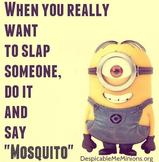 Funny Minion Quotes to Live By (15 Inspiring Quotes)