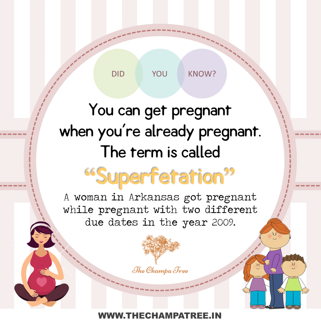 Did You Know Facts - Superfetation - Motherhood Parenting Blog ...
