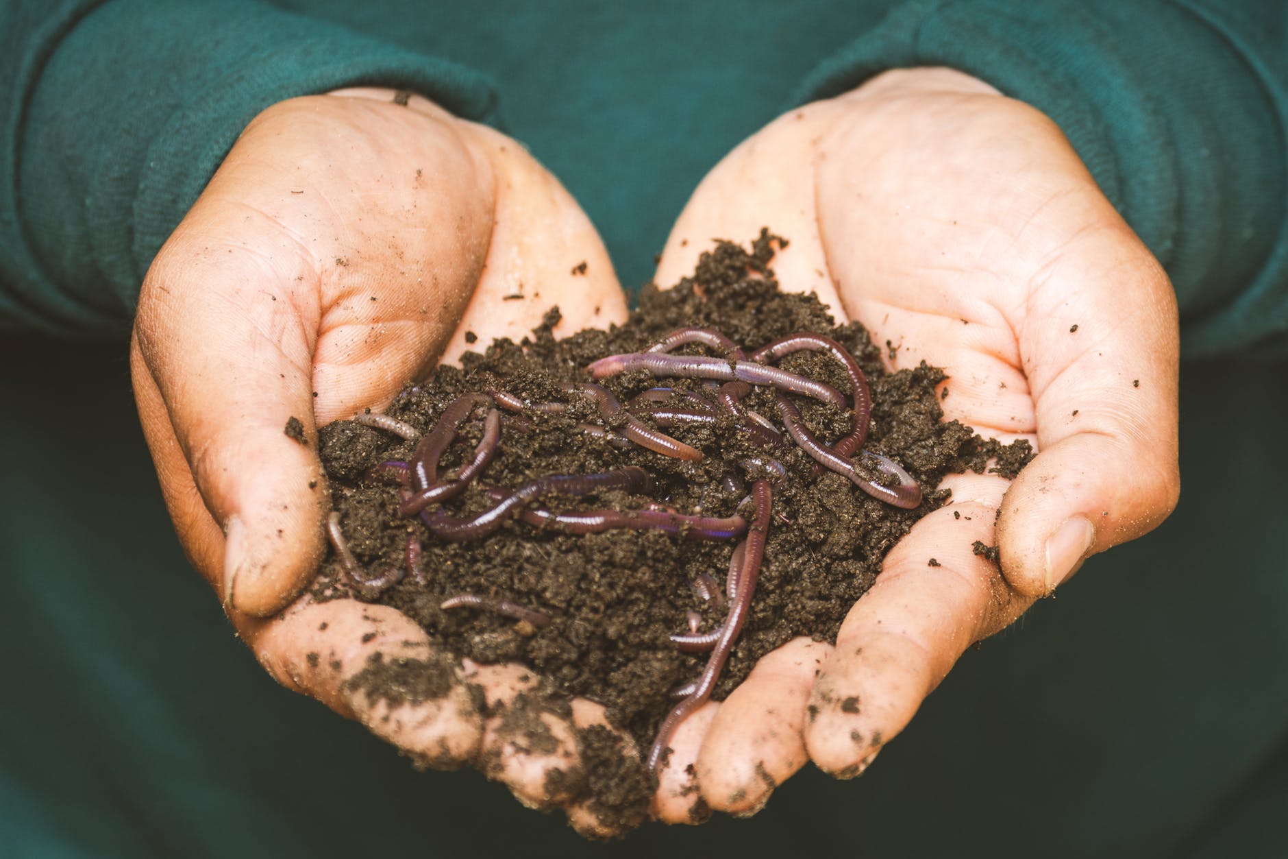 Treat worms in kids using home remedies - Signs and Symptoms