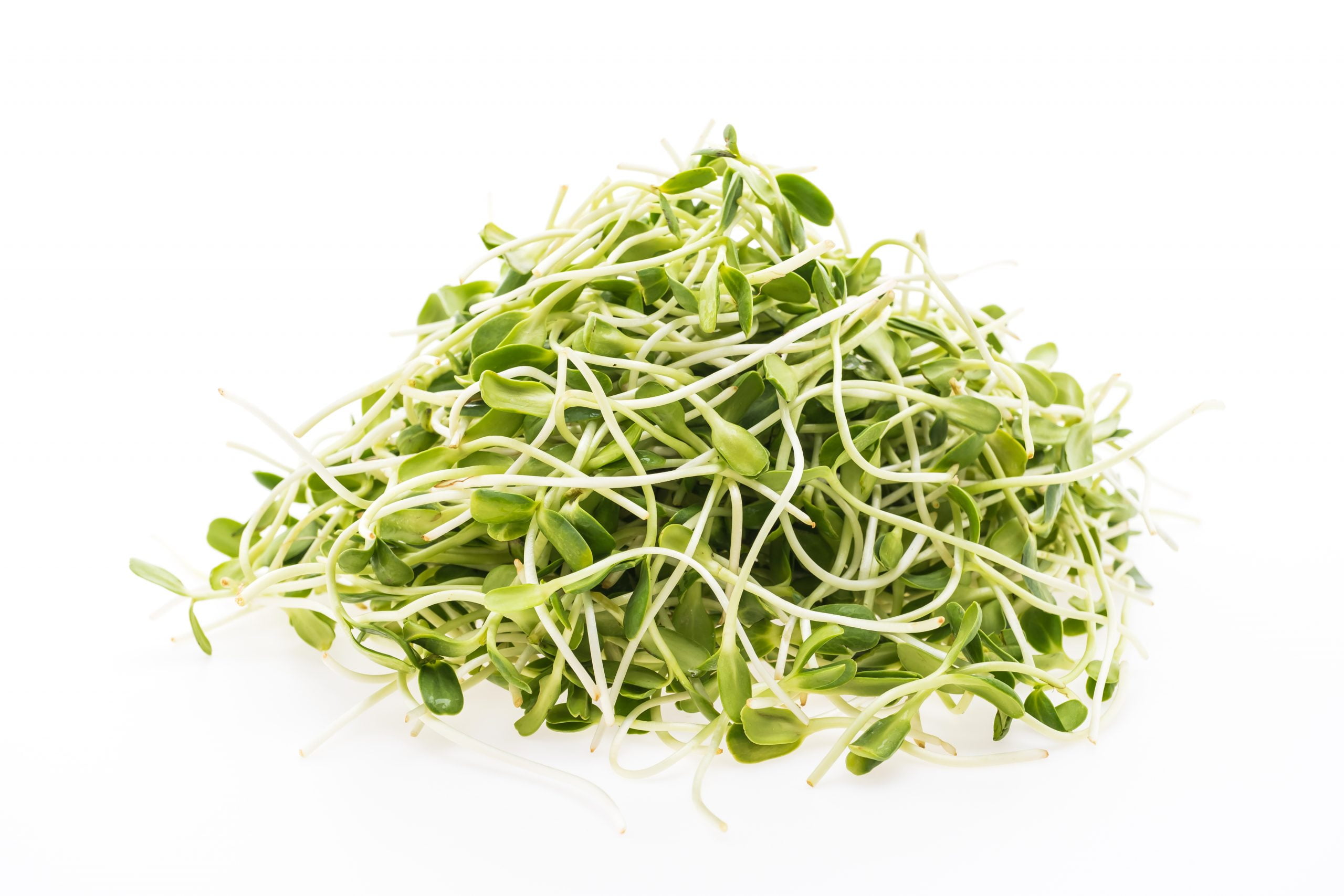 Recipe for Healthy Sandwich - Spicy Sprouts Sandwich (TCT)