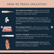 The Science Behind Ovulation and How to Track Your Ovulation Cycle?