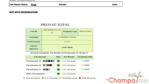 NIPT Test Cost: Expenses and Reasons for this Prenatal Screening