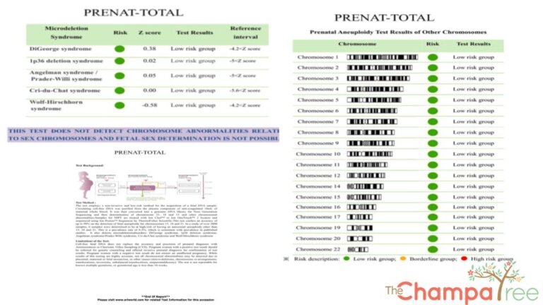 NIPT Test Cost: Expenses and Reasons for this Prenatal Screening
